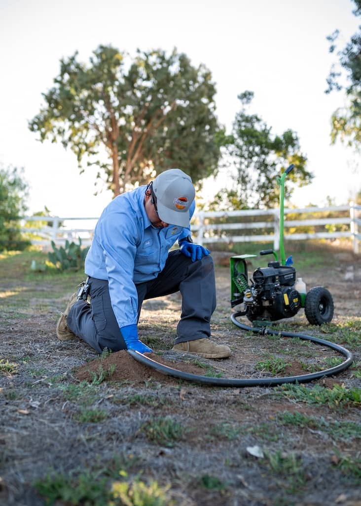 Pest control Pacific Beach CA | Best Pest Control